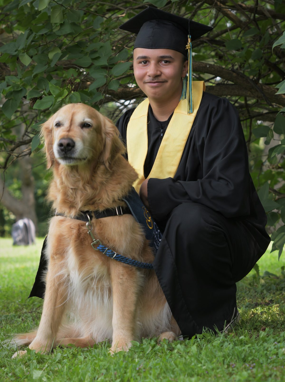 Canines in the Classroom | COPE Service Dogs