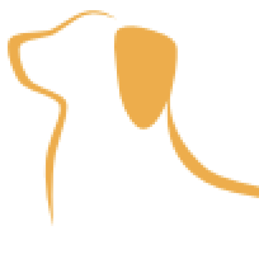 Application - Service Dog | COPE Service Dogs